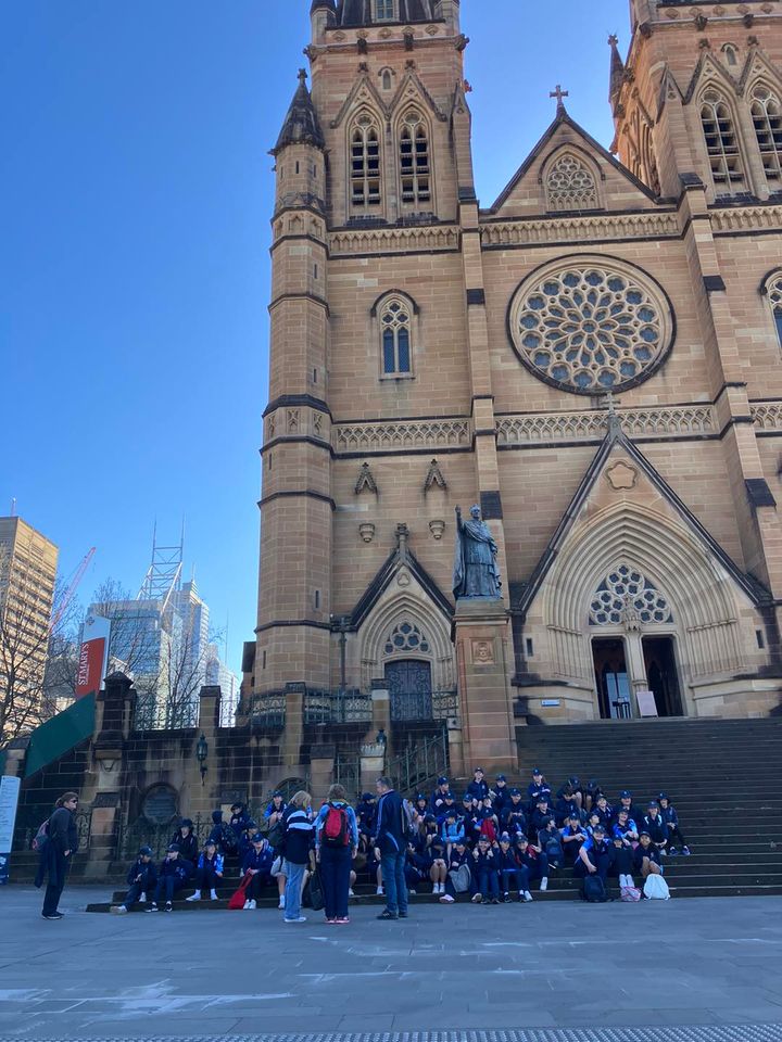 Catholic Primary School | St Thomas Aquinas | Springwood