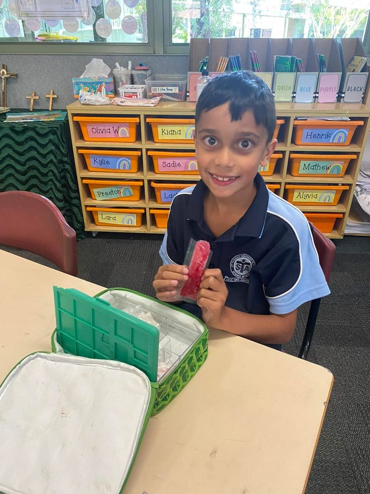 Catholic Primary School | St Thomas Aquinas | Springwood