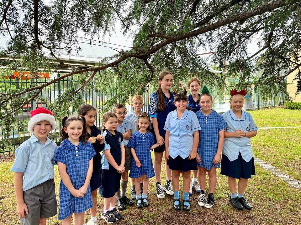 Catholic Primary School | St Thomas Aquinas | Springwood