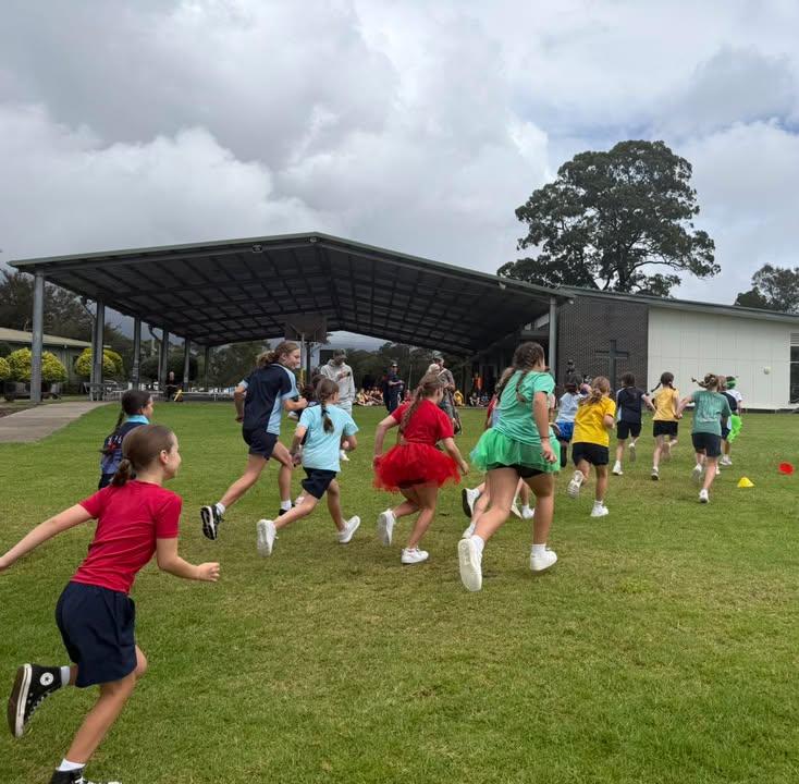 Catholic Primary School | St Thomas Aquinas | Springwood