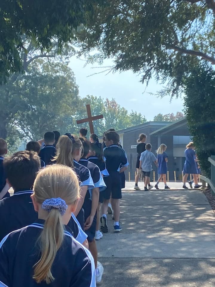 Catholic Primary School | St Thomas Aquinas | Springwood
